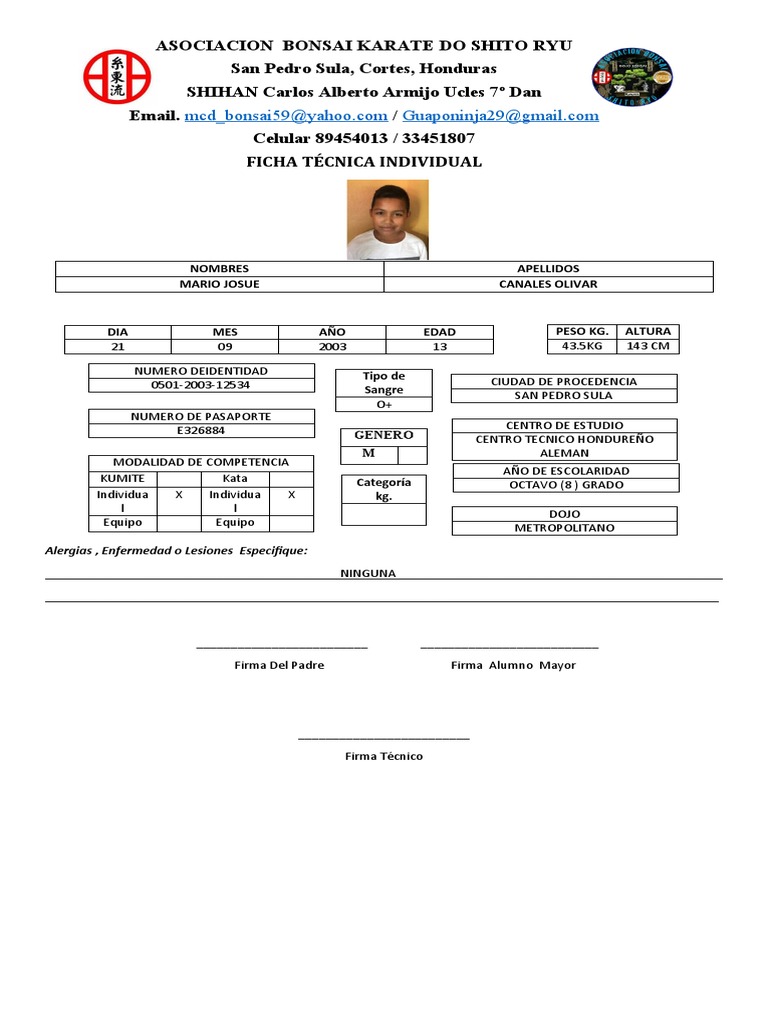 Fichas 2017 DOJO | PDF | Artes marciales asiáticas | Karate Tradicional