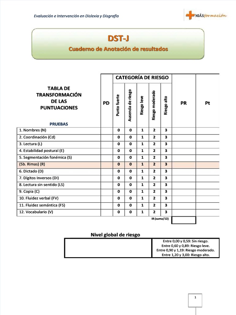 pdf-dst-j-cuadernillo-de-anotacion_compress | PDF