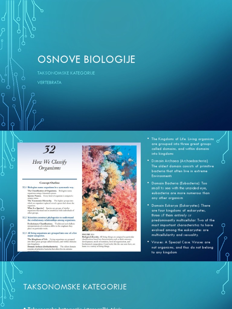 Osnove Biologije: Taksonomske Kategorije Vertebrata | PDF