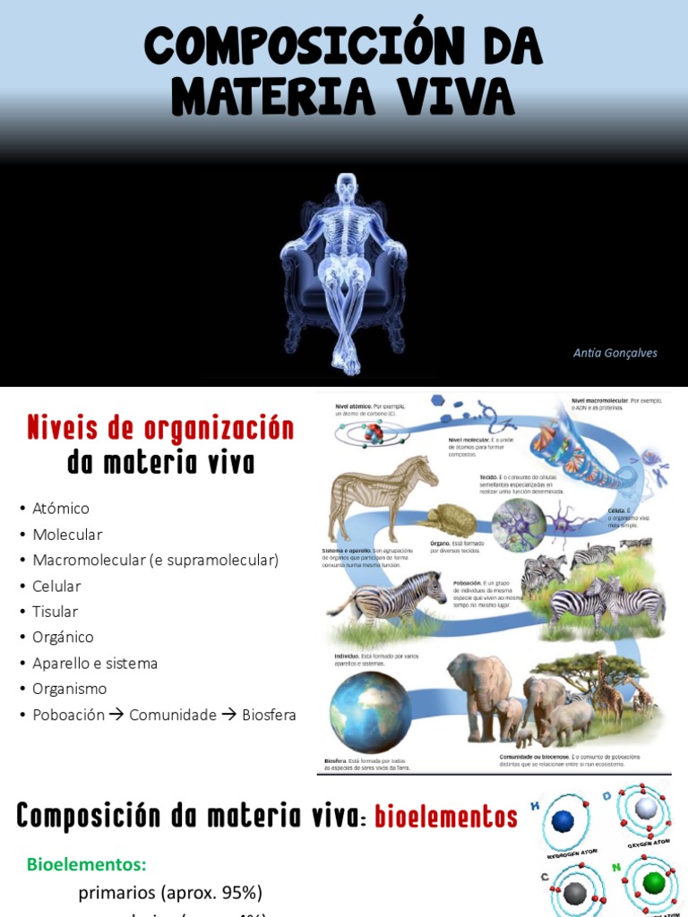 Composición Da Materia Viva (I) | PDF