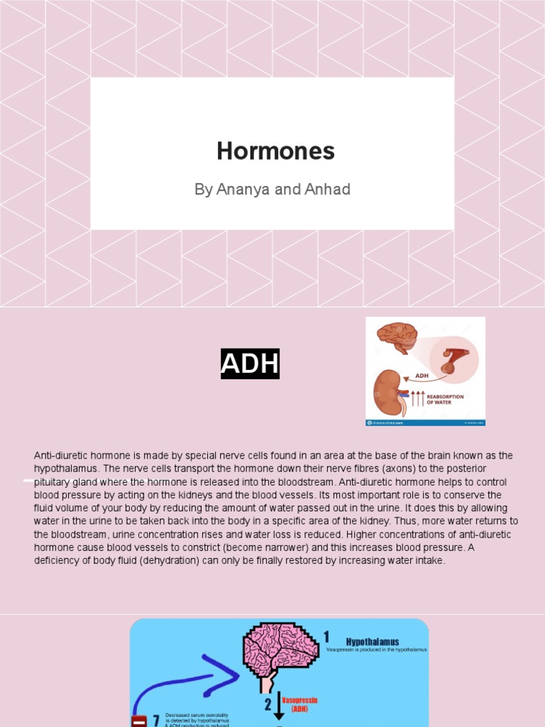 Hormones | PDF