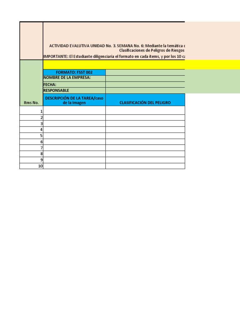 FSST 002 Formato Plan de Accion (2) - 1 | PDF | Negocios