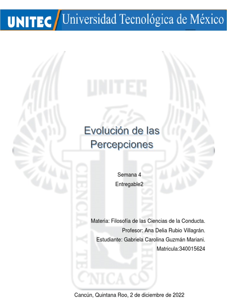 Entregable 2.evolucion de Las Percepciones. | PDF | Las emociones | Adultos