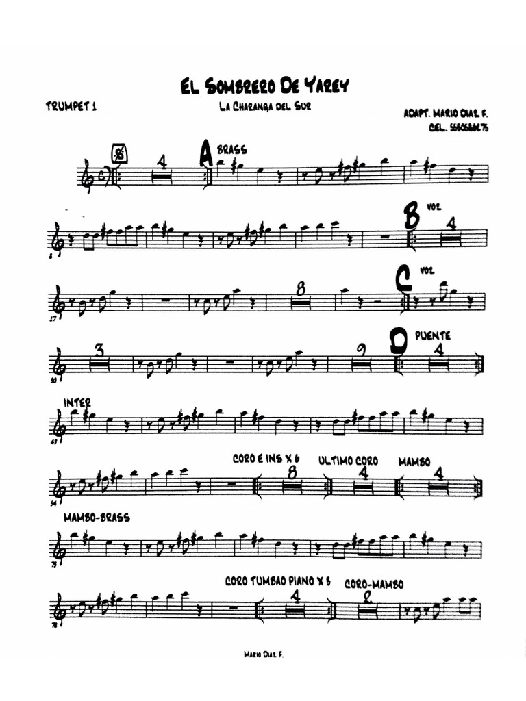 El Sombrero de Yarey 1a Tromp | PDF