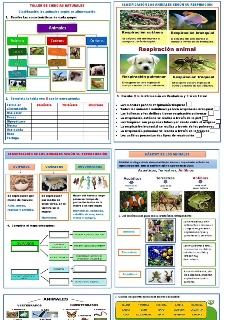 TALLER DE CIENCIAS NATURALES Grado 2 Animales 2021 | Descargar gratis ...