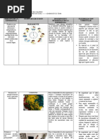 Malla Curricular de Cátedra Socioemocional (Lineamientos Colombianos ...