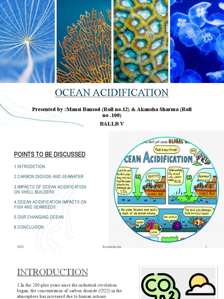 Law Students' Guide to Ocean Acidification | PDF | Ocean Acidification ...