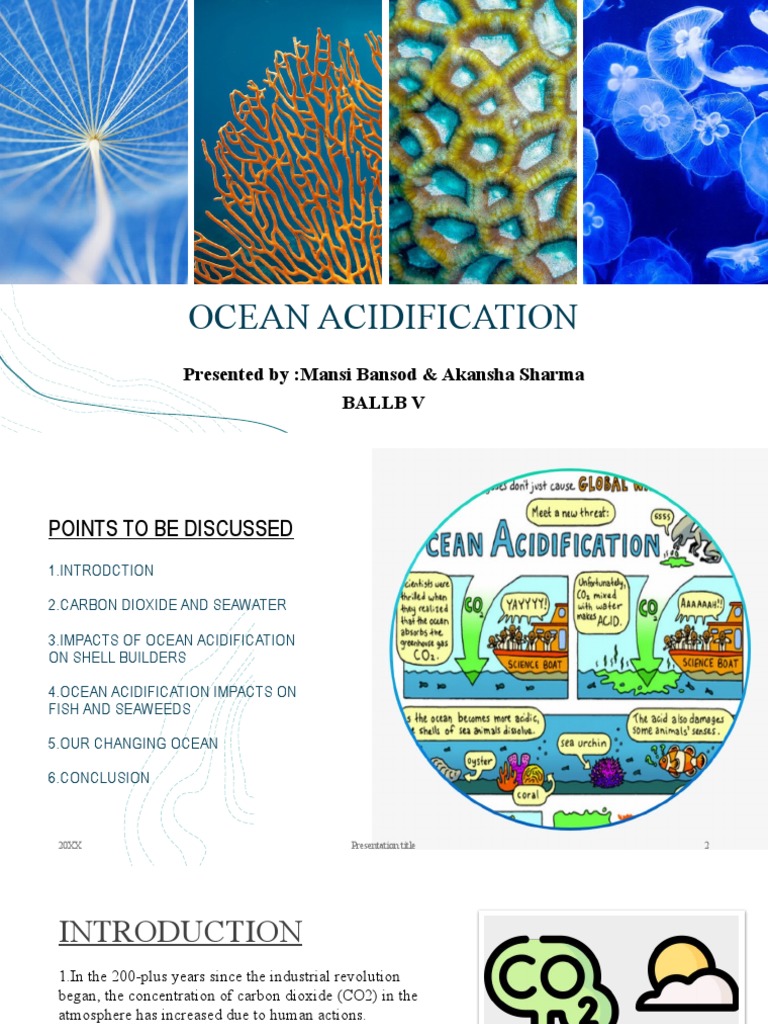 Ocean Acidification 1 | PDF | Ocean Acidification | Carbon Dioxide