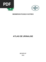 Atlas URINALISE | PDF