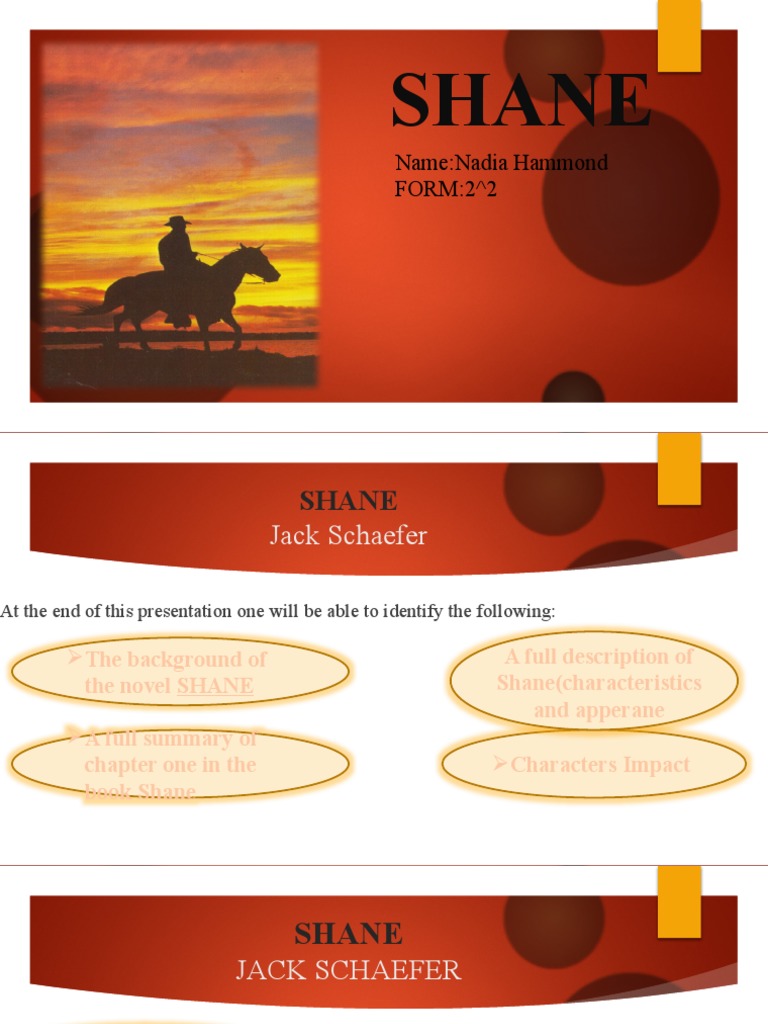 SHANE | PDF | Fashion | Softlines (Retail)