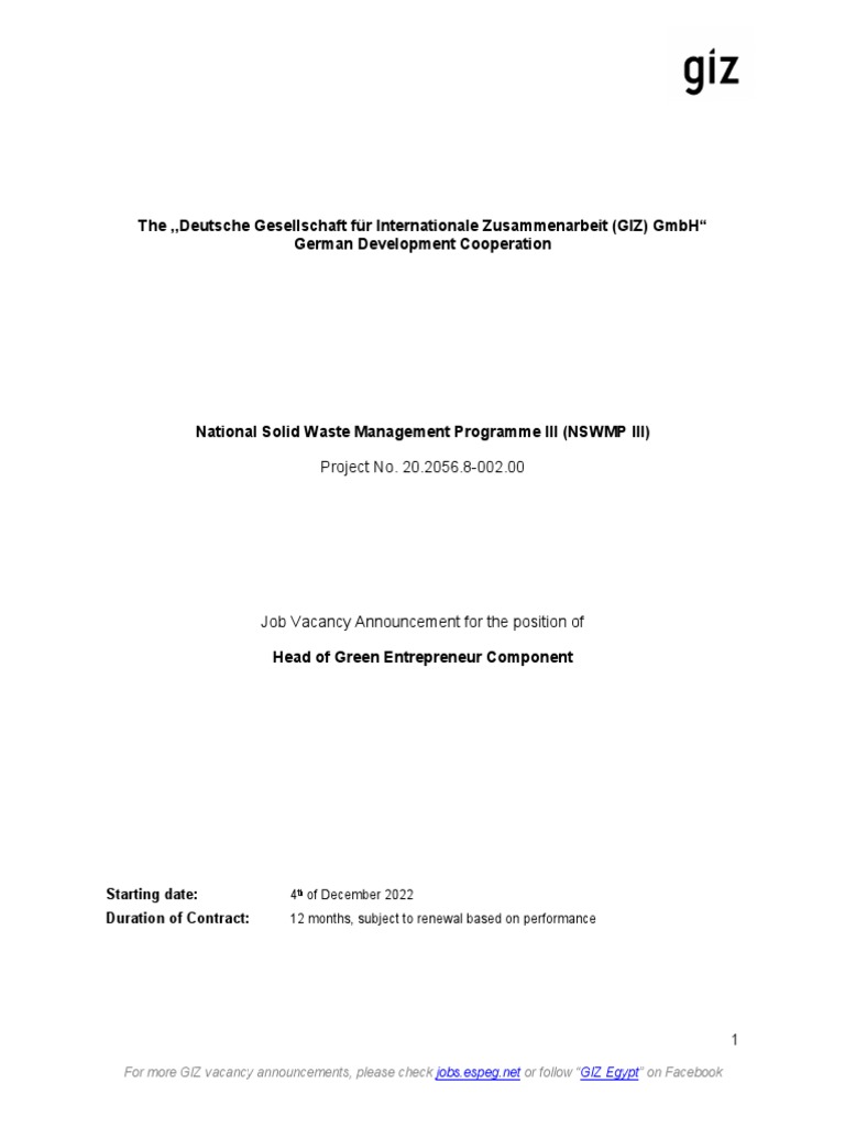 GIZ Vacancy Announcement - Head of Green Entrepreneur Component | PDF ...
