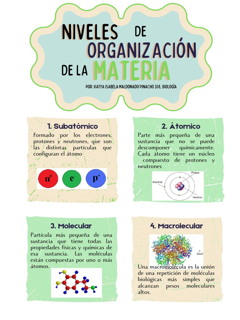 Niveles de La Organización de La Materia | PDF | Organismos | Moléculas