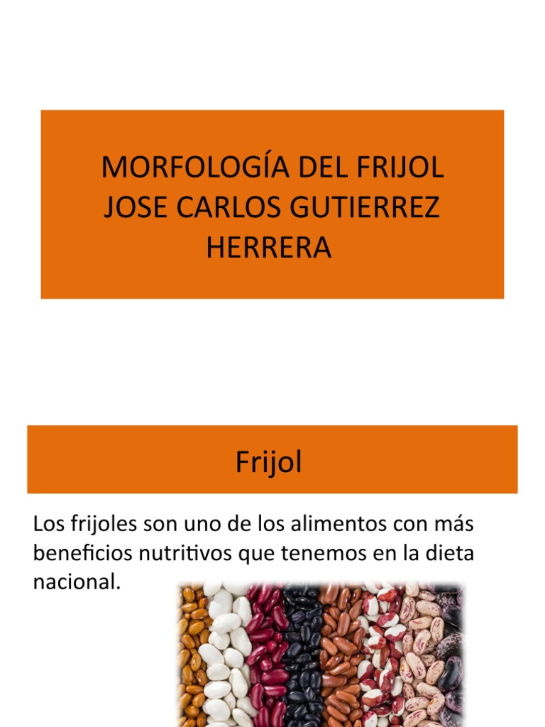 Morfología Del Frijol | PDF