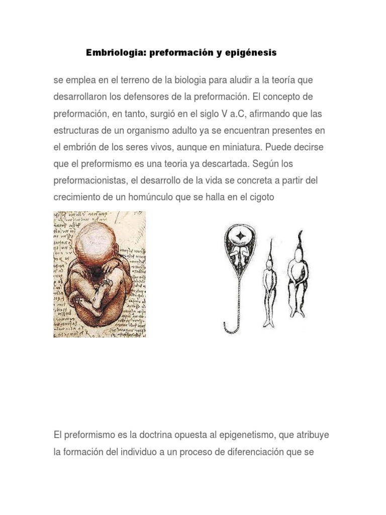 Preformismo y Epigénesis en Biología | PDF | Ciencias de la vida | Biología