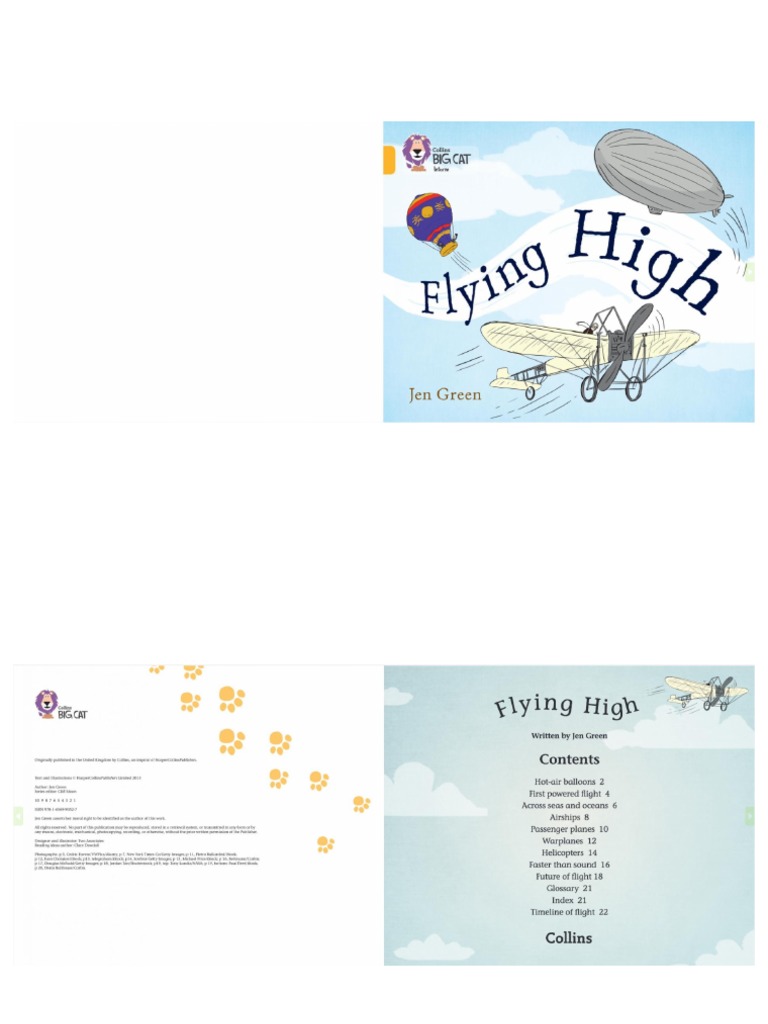 Flying High | PDF