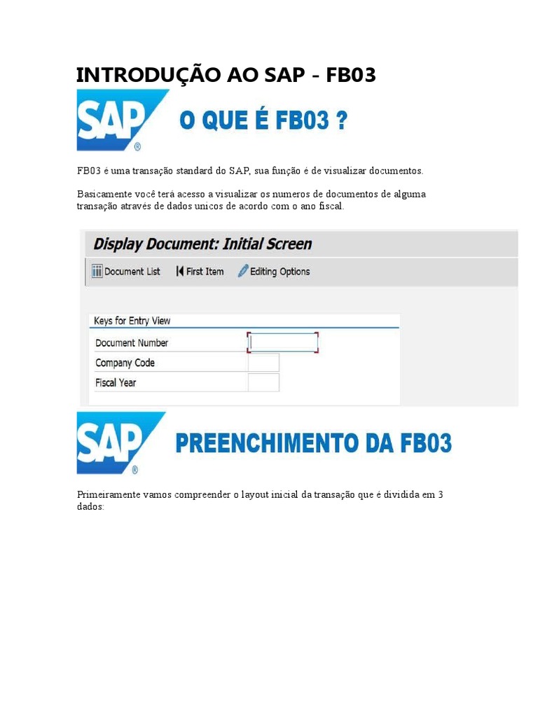 Introdução Ao Sap - Fb03 | PDF | Dados | Informática
