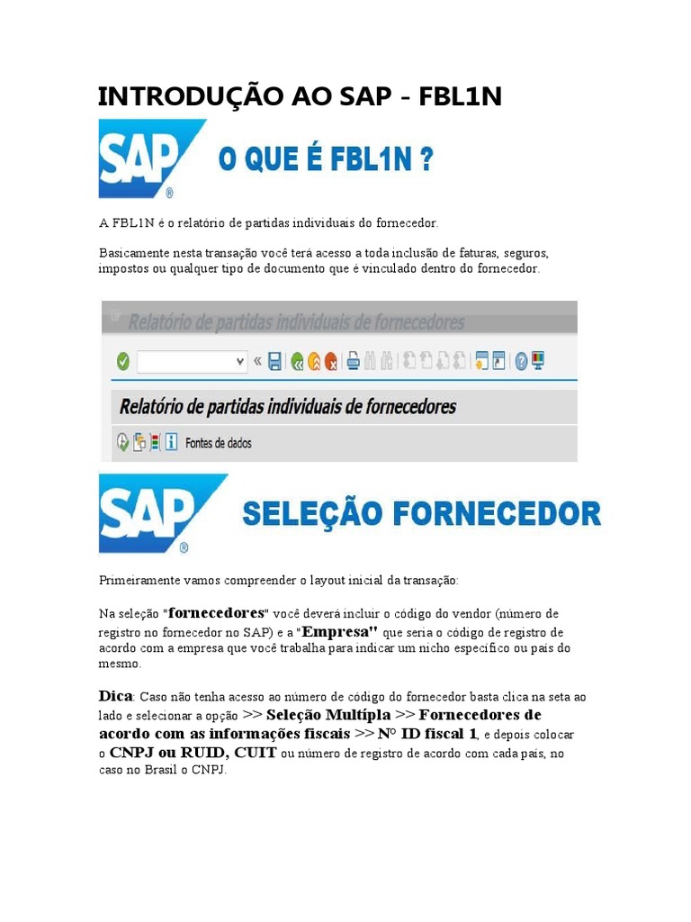 Introdução Ao Sap - Fbl1n | PDF | Janela (informática) | Irã