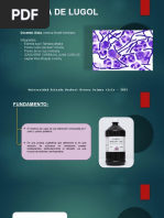 Reacción Del Lugol | PDF | Yodo | Almidón