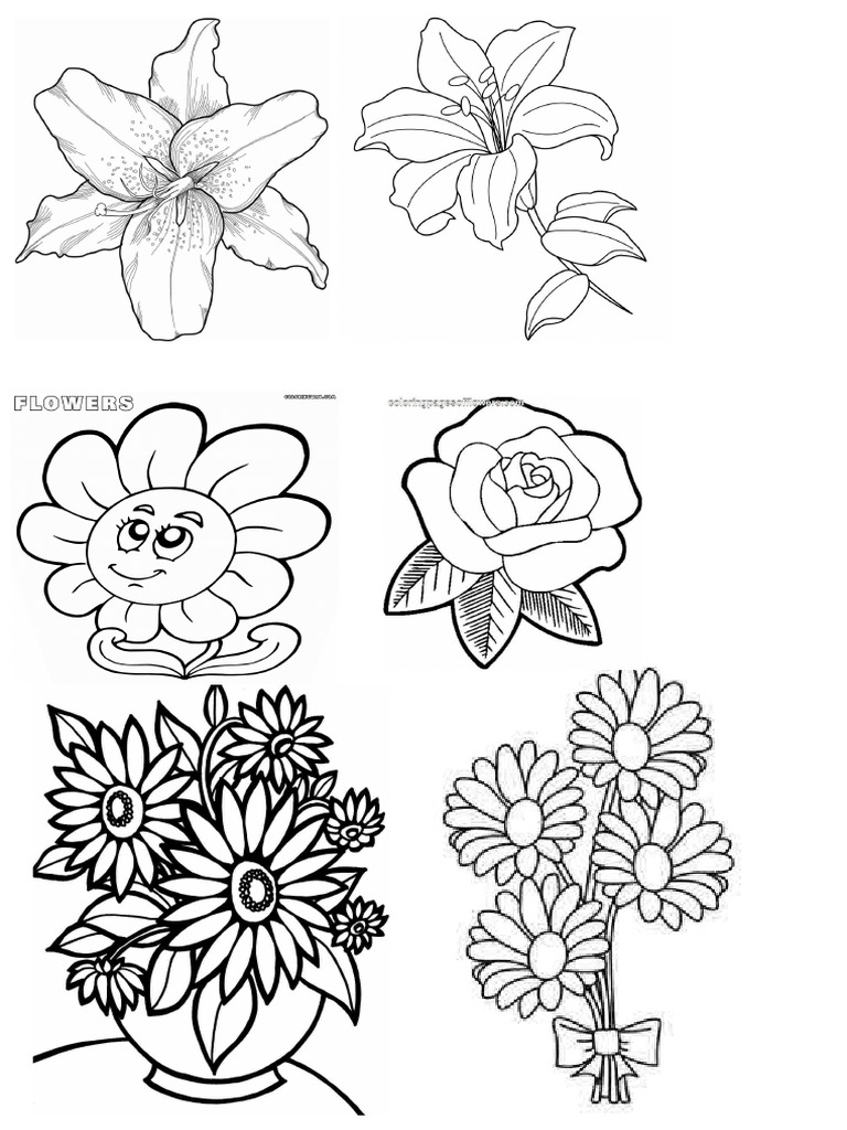 Imagenes para Colorear | PDF