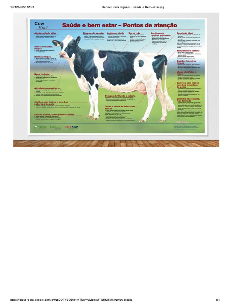 Banner Cow Signals - Saúde e Bem-Estar - JPG | PDF