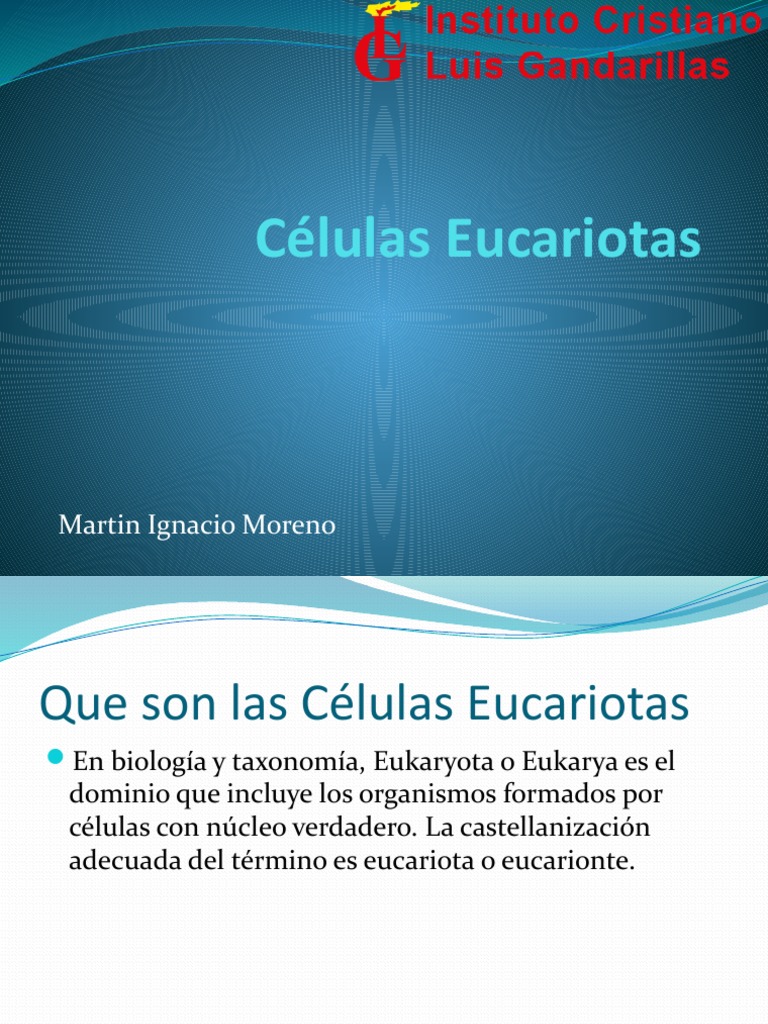 Células | PDF