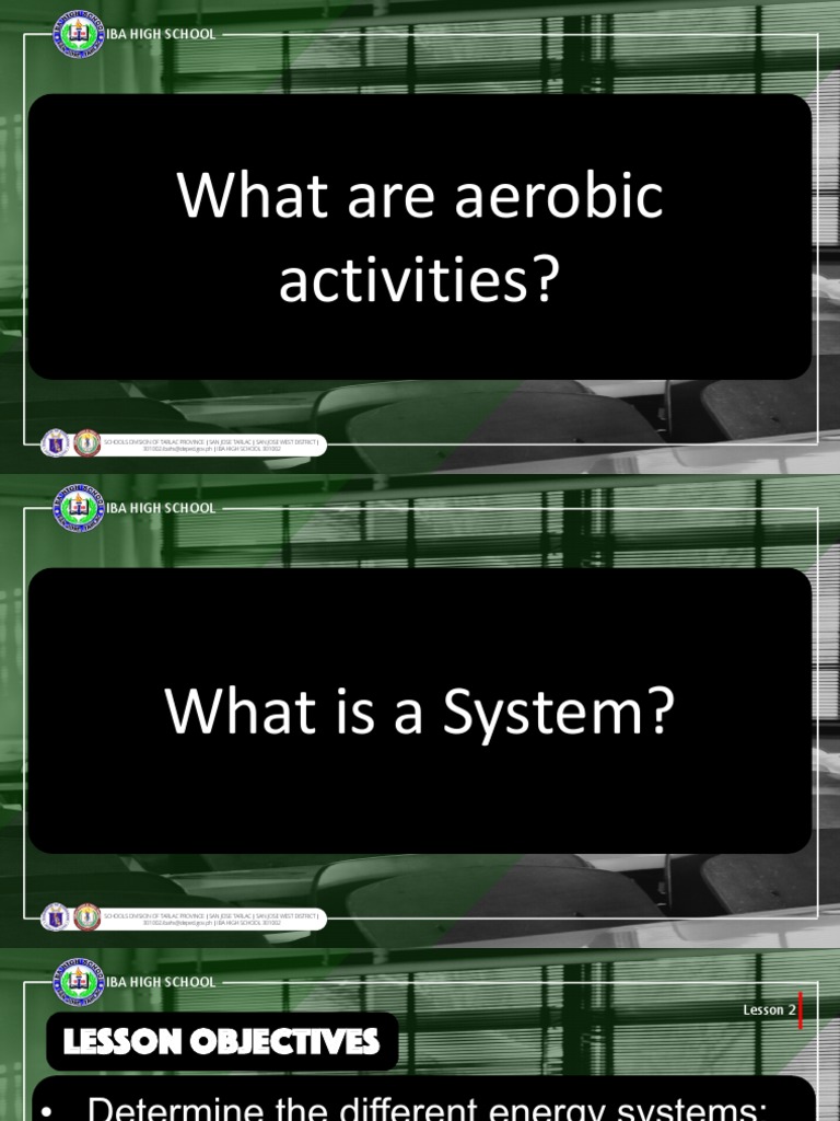 IBA HS Lesson 2 Energy Systems | PDF