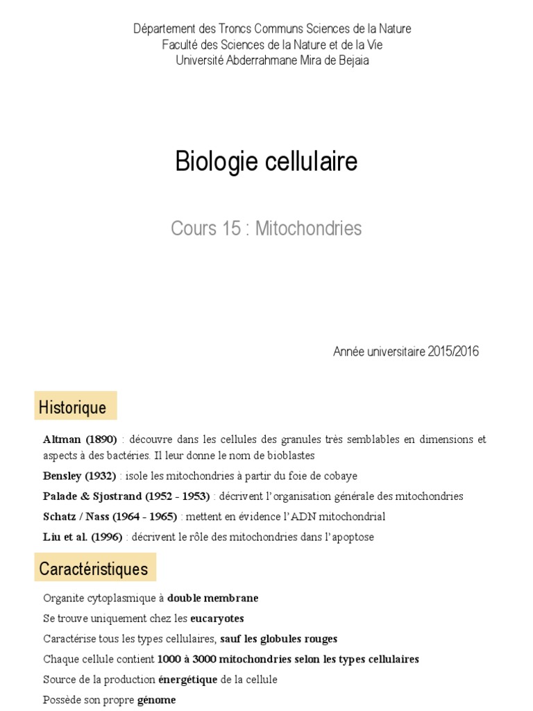 Cours 15 - Mitochondries | PDF | Mitochondrie | Adénosine triphosphate