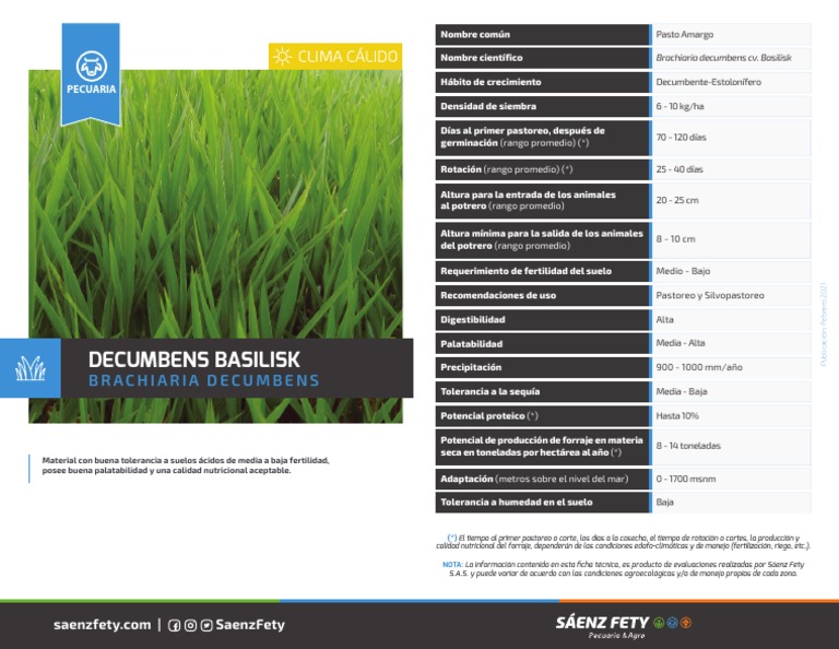 Ficha Técnica: Brachiaria Decumbens Basilisk | PDF | Pasto | Agricultura