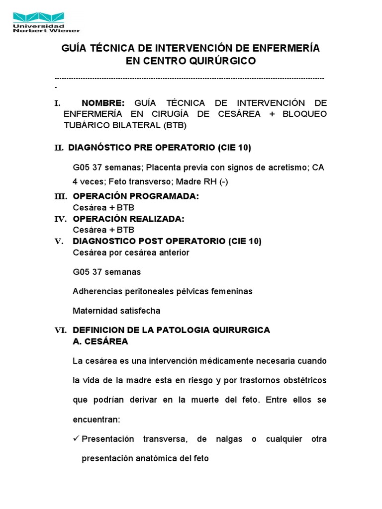 Modelo de Guia Clinica de Intervencion de Enfermeria | PDF | Parto | Placenta