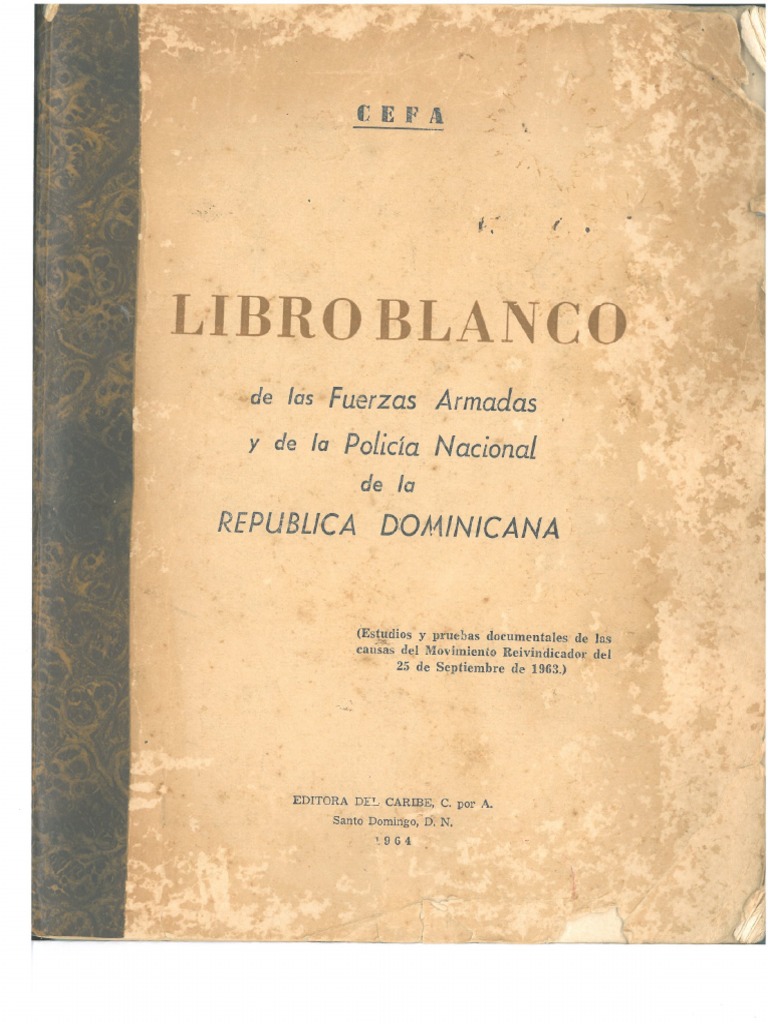 Libro Blanco | PDF
