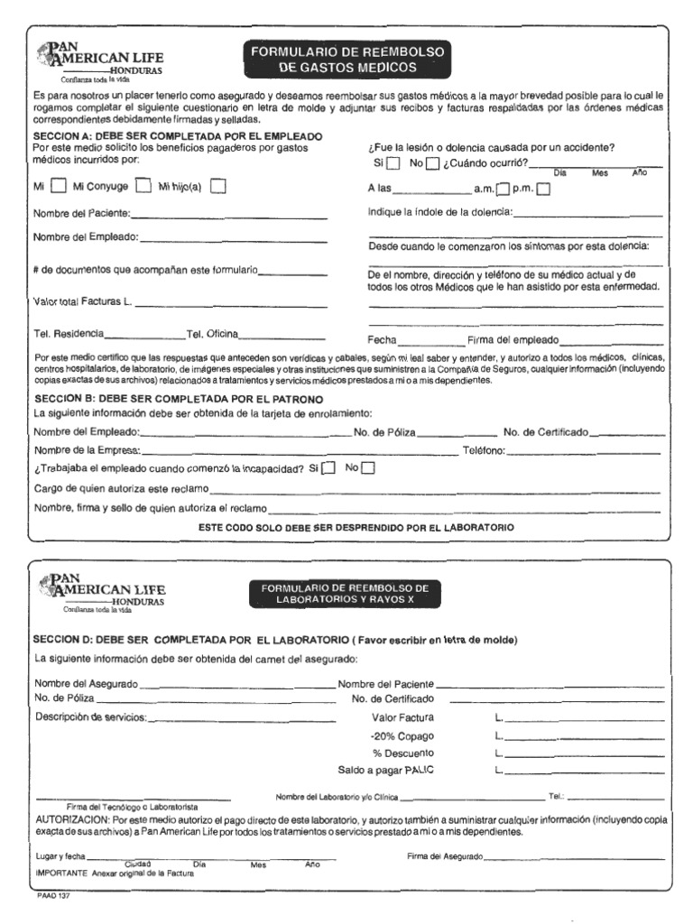 Formulario Gastos Medicos - PALIC | PDF