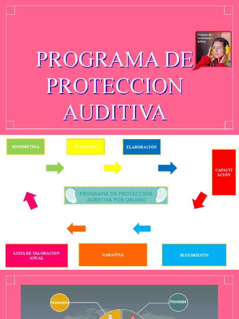 Programa de Proteccion Auditiva | PDF Programa de Proteccion Auditiva | PDF