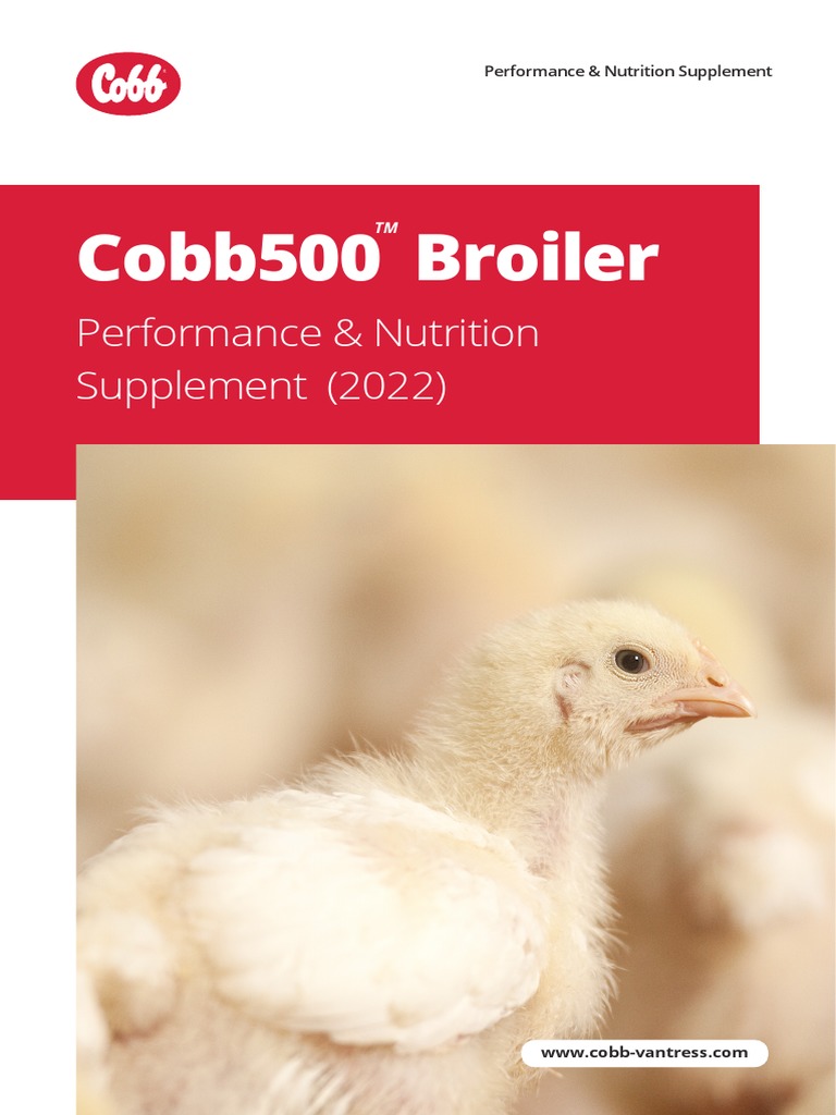 Cobb 500 Broiler Performance Guide 2022 | PDF | Broiler | Amino Acid