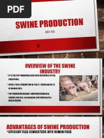 Q1 Animal Production (Swine) NC II 9-12 - Module 2 | PDF | Pig ...