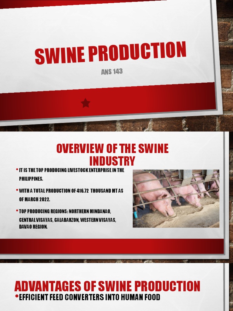 ANS143 - Swine Production | PDF | Pig | Wild Boar