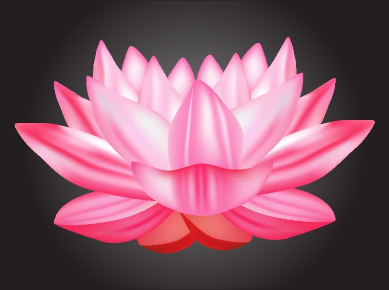 Lotus Flower | PDF