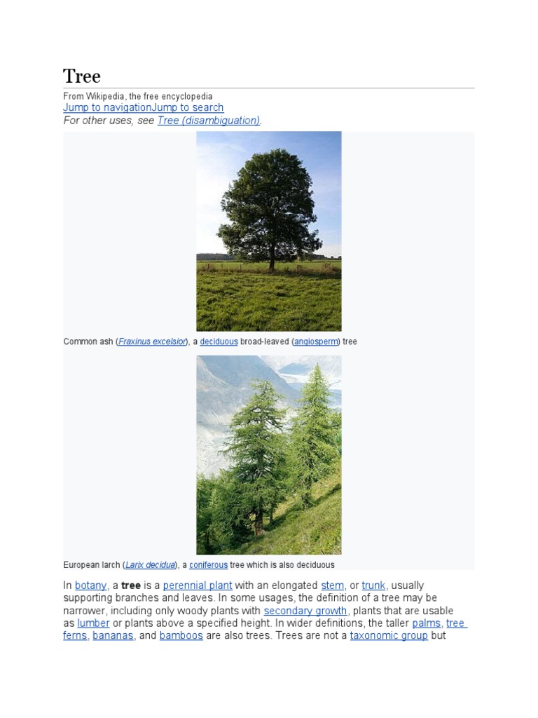 PDF Tree | PDF | Trees | Forests