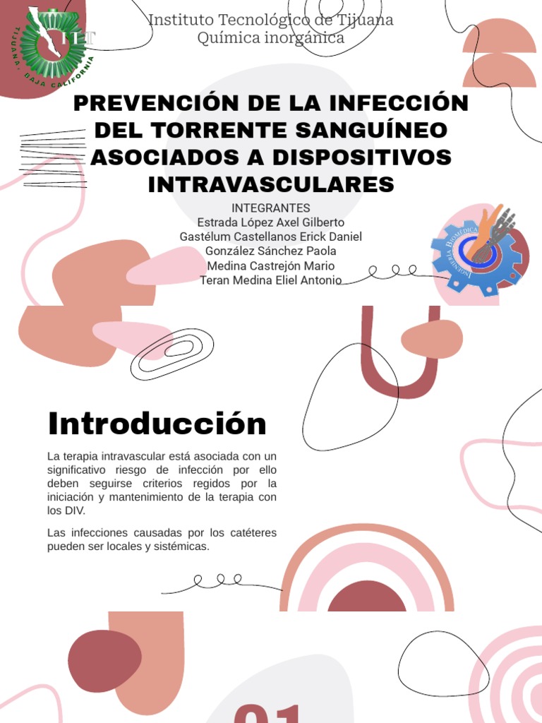 Prevención de La Infección Del Torrente Sanguíneo Asociados A Dispositivos Intravasculares | PDF ...