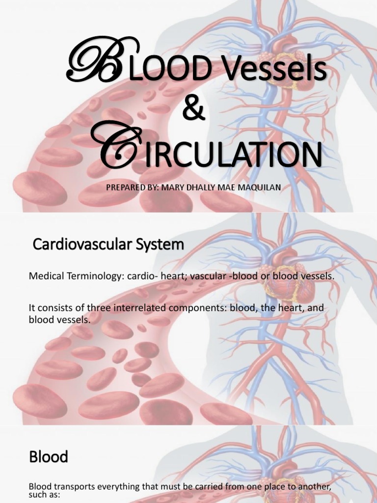 Blood Vessels & Circulation Guide | PDF | Vein | Diastole