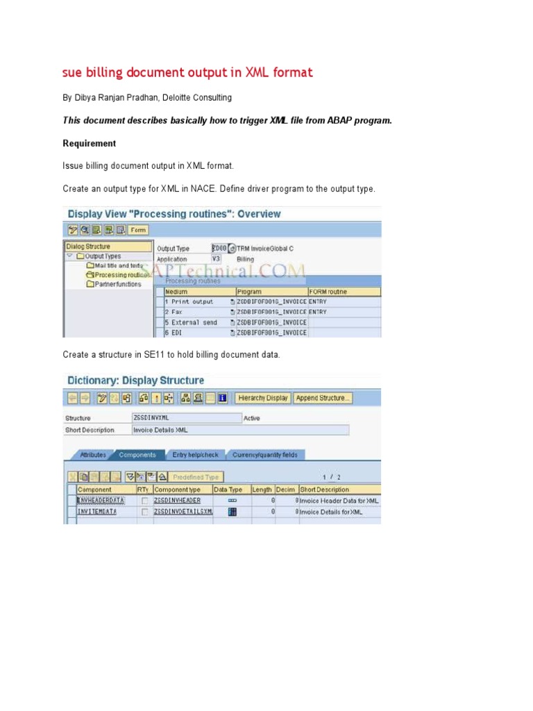 XML Billing Output Guide for ABAP | PDF