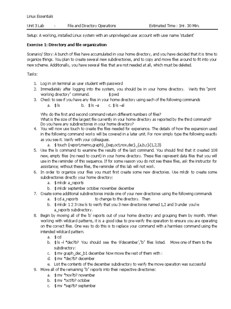 2a Basic Commands Lab Pdf Directory Computing Computer File 