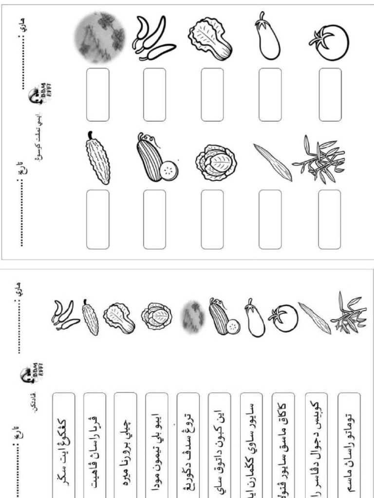 Jono Pdf