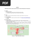 Organ Reproduksi Wanita: Fungsi dan Struktur | PDF