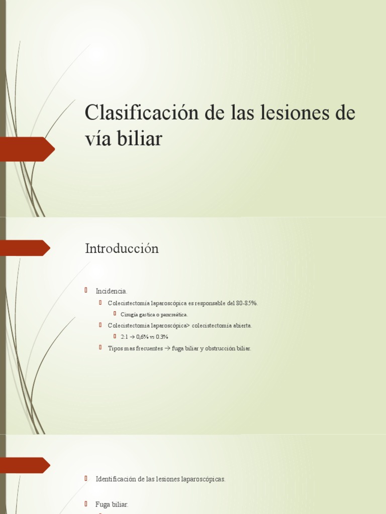Clasificacion Strassberg | PDF