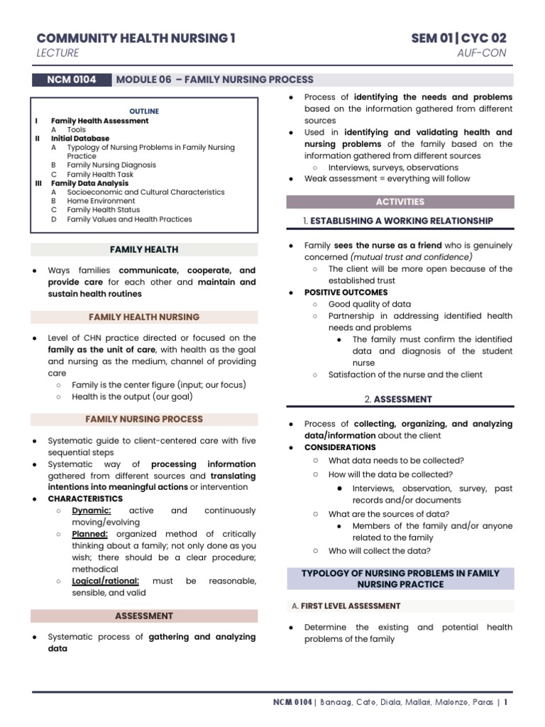 06 - LEC Family Nursing Process | PDF | Nursing | Family 06 - LEC Family Nursing Process | PDF | Nursing | Family