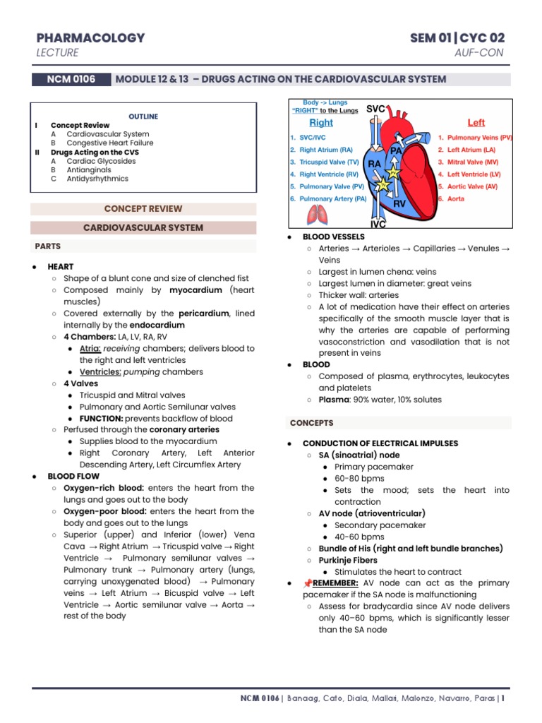 12 Drugs Acting On The Cardiovascular System | PDF | Heart | Heart Valve