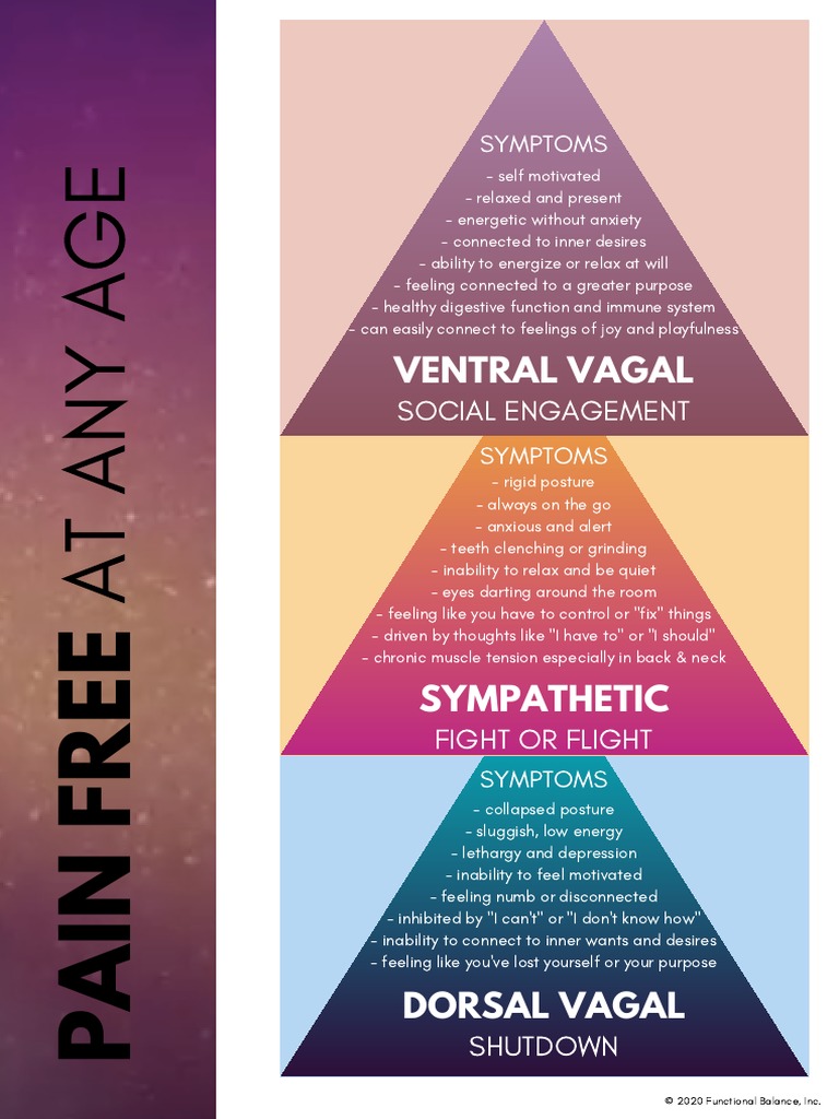 Polyvagal Ladder | PDF