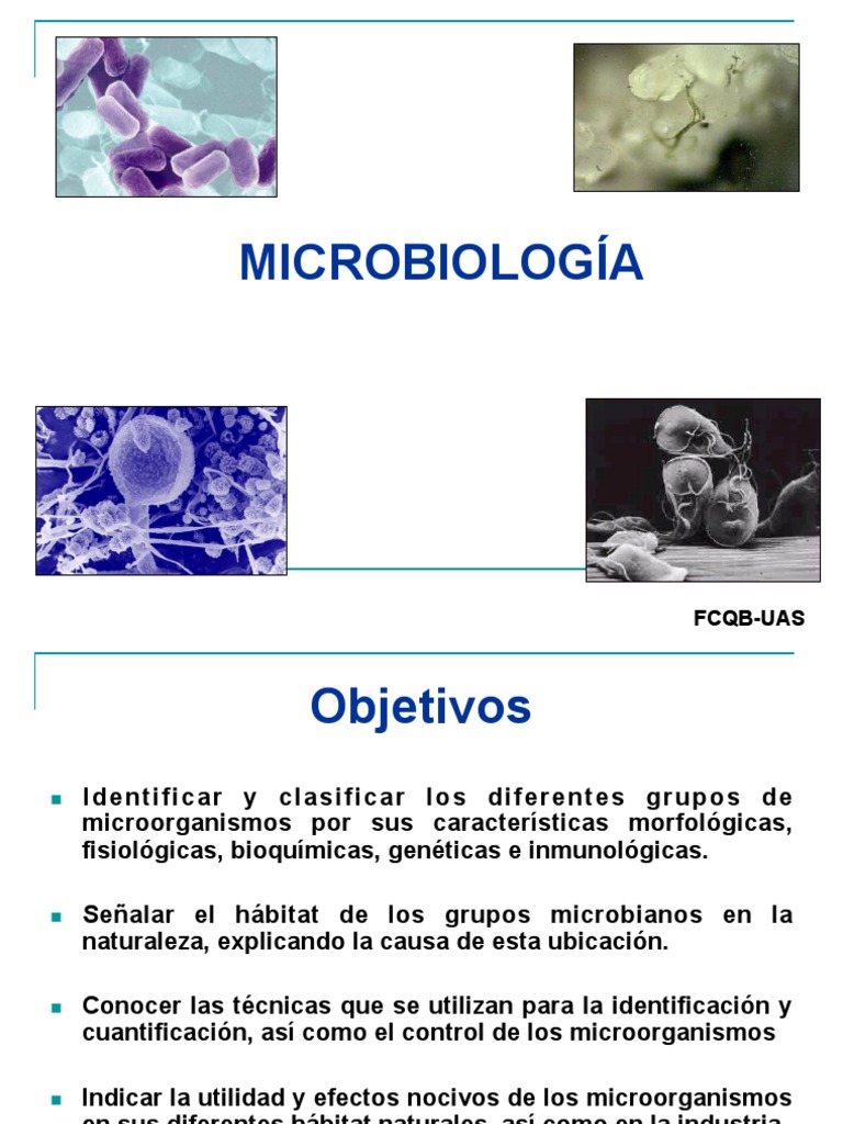 Introduccion A La Microbiología | PDF | Microbiología | Microorganismo