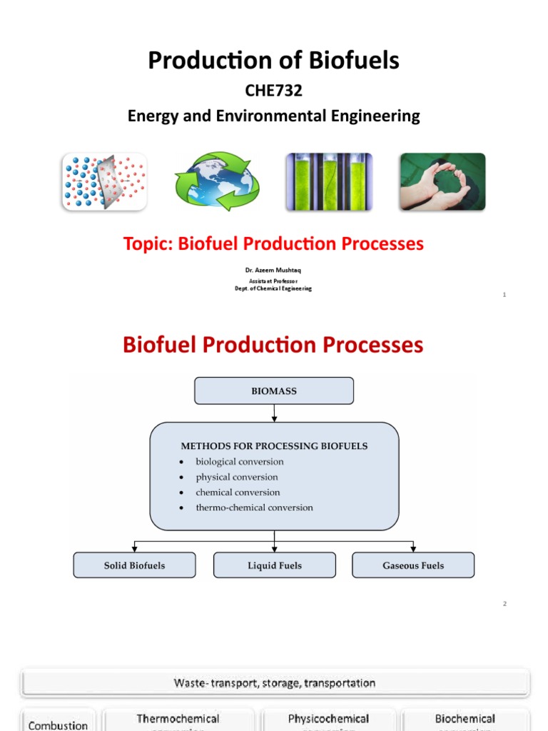 Biofuel Production Processes Overview | PDF | Biofuel | Ethanol