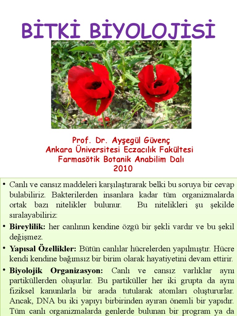 1, Hafta Bitki Biyolojisi | PDF